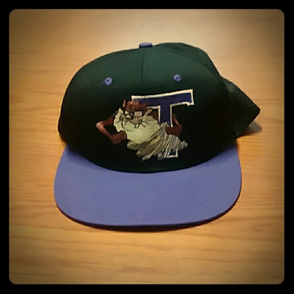 Accessories | Vintage 1993 Tazmanian Devil Taz Snapback Hat | Poshmark